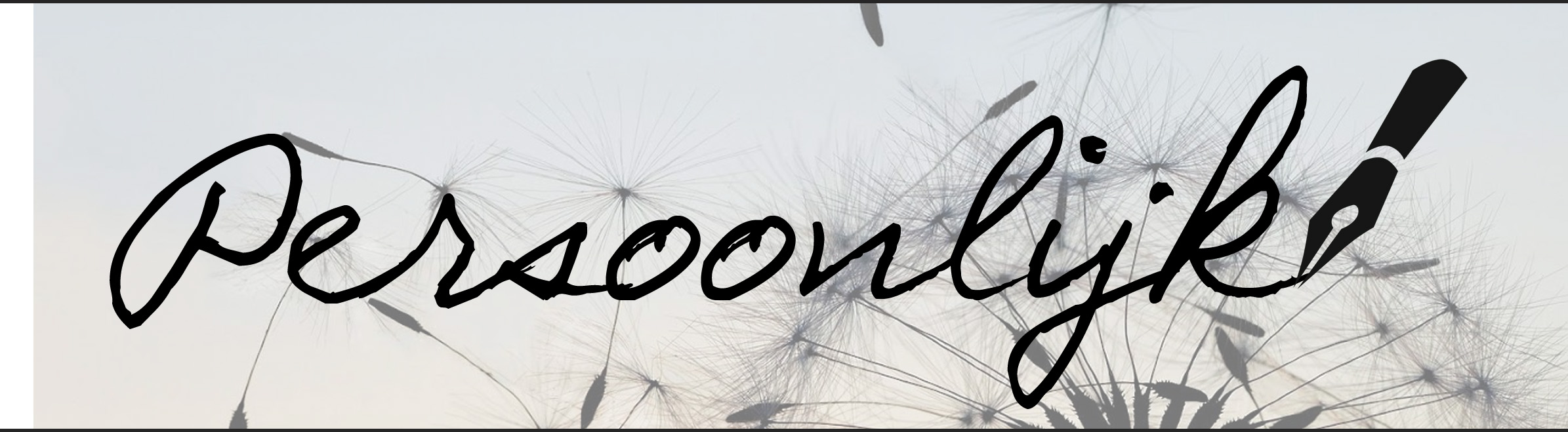 Persoonlijk #12 Waarom schrijver zijn het ideale beroep is voor een ...