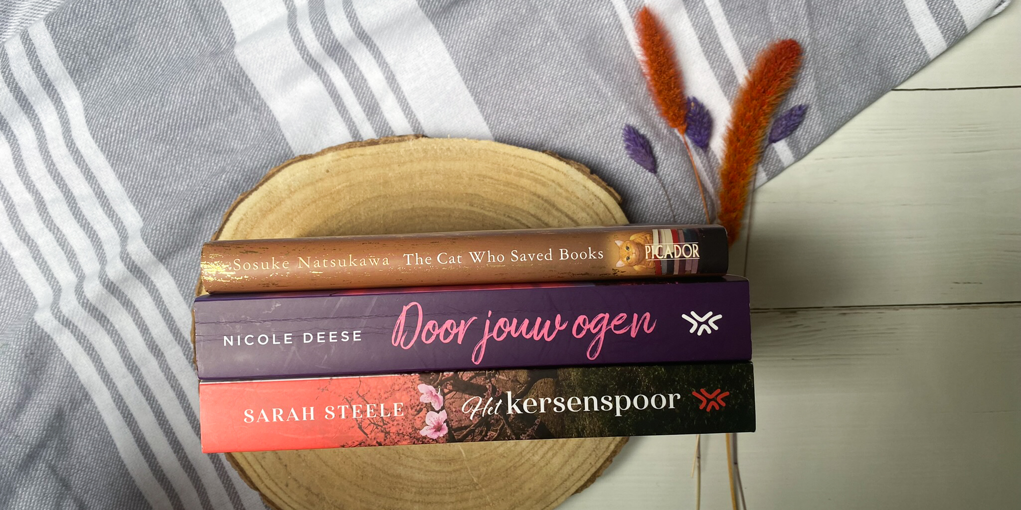 Mini reviews #15 Drie diverse boeken