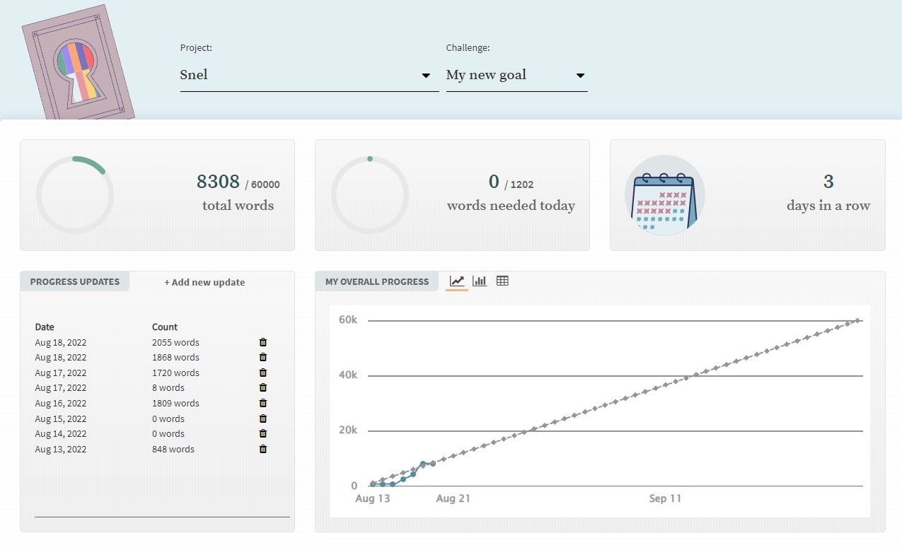 Project uitgelicht #10 Waar gaat Project Snel over?