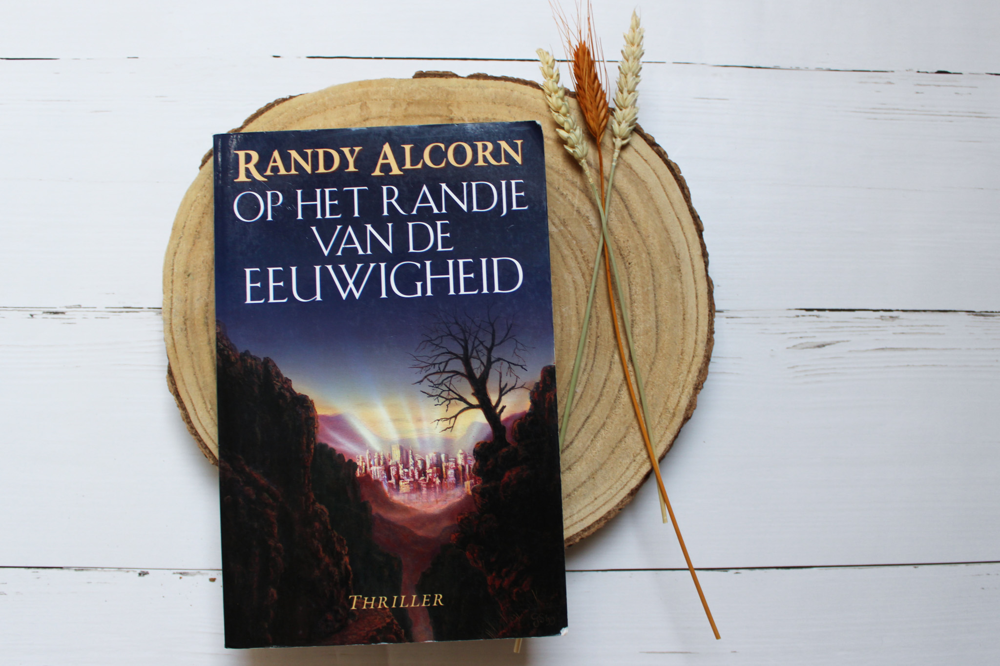 Boekentip #14 Vijf spannende boeken